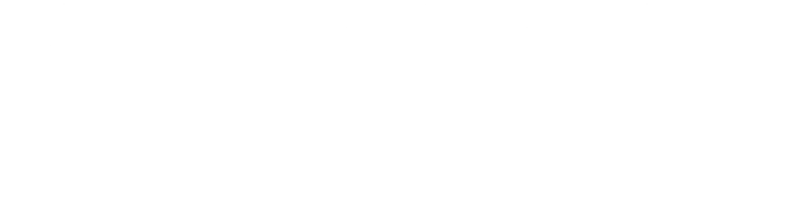 Morgan Stanley Investment Management | InsuranceAUM.com